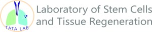Laboratory of Stem Cells and Tissue Regeneration – Understanding the ...